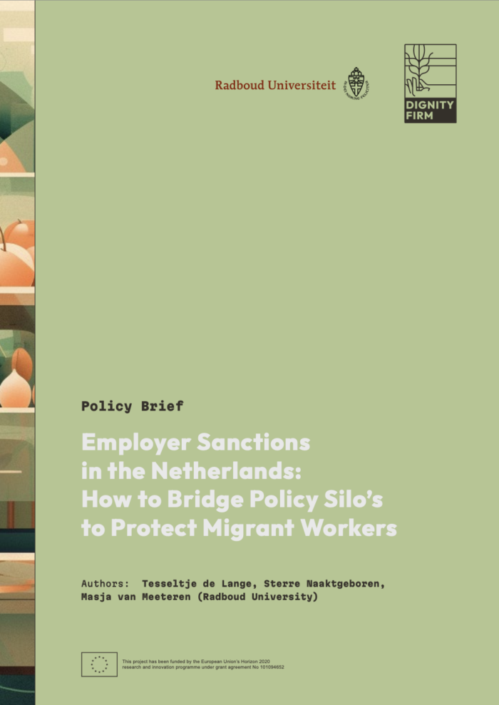 Policy Brief – Employer Sanctions in the Netherlands: How to Bridge ...