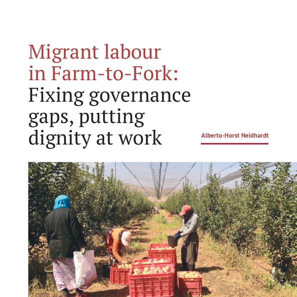 EPC – European Policy Centre - DignityFIRM
